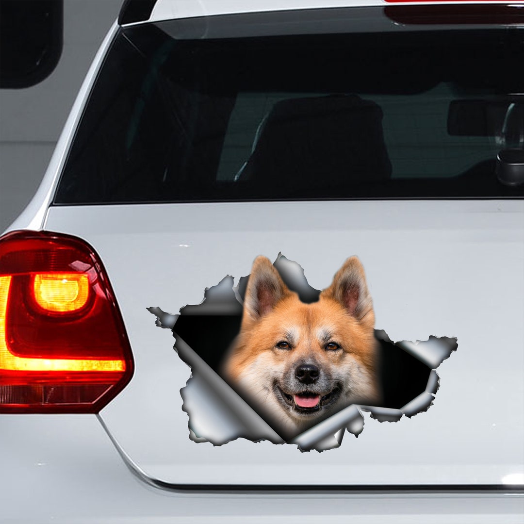 Icelandic Sheepdog Decal , Icelandic Sheepdog Sticker, Icelandic ...