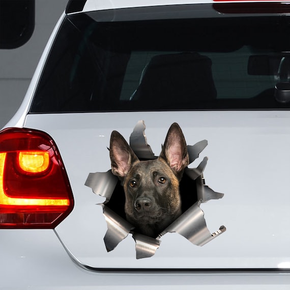 Belgian Malinois Car Sticker Belgian Malinois Decal Belgian - Etsy