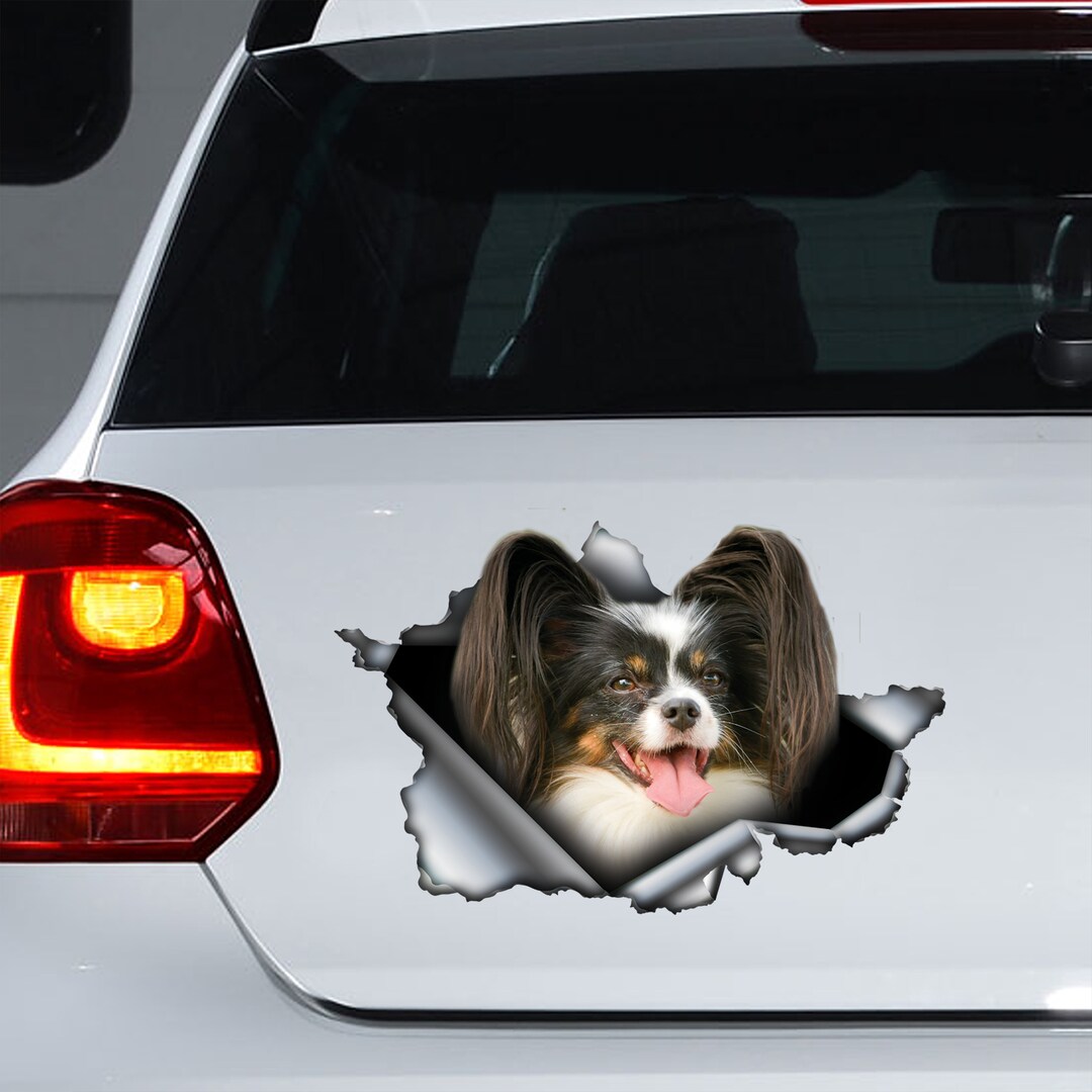 Black and White Papillon Decal , Papillon Sticker, Papillon Magnet ...