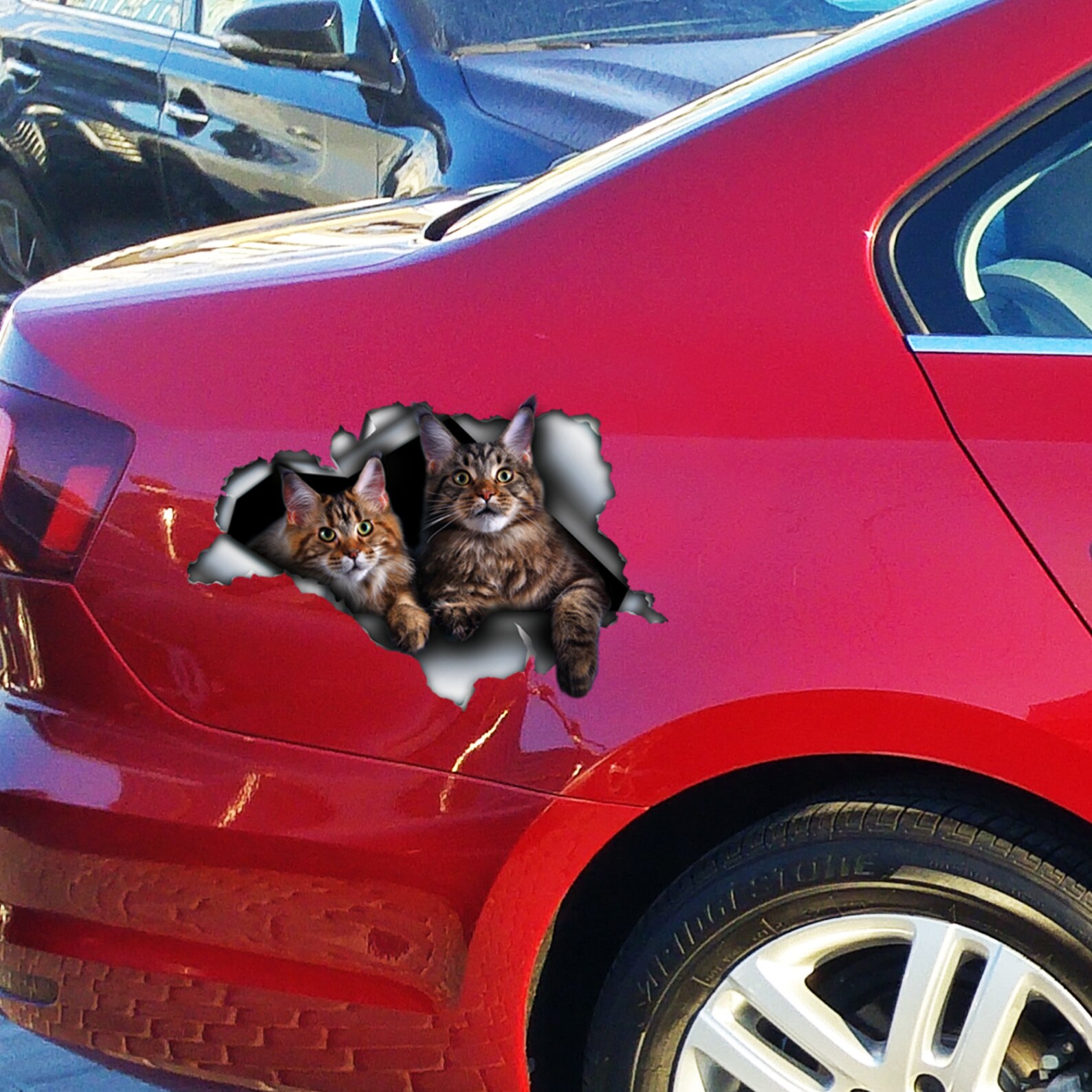 Cats Car Decal Maine Coon Decal Maine Coon Sticker Pet - Etsy