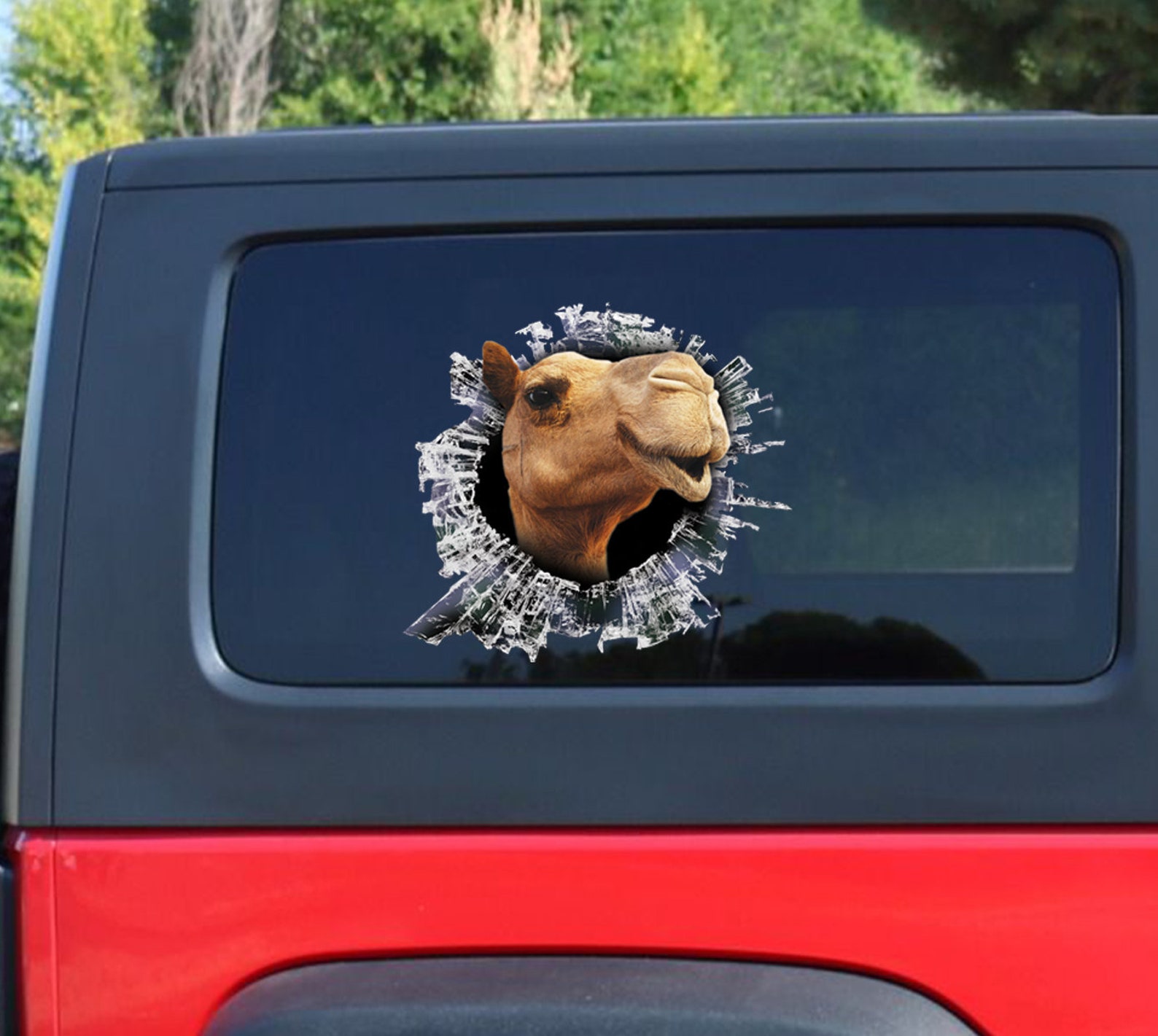 Camel Window Decal Camel Car Sticker Camel Car Decal Funny - Etsy