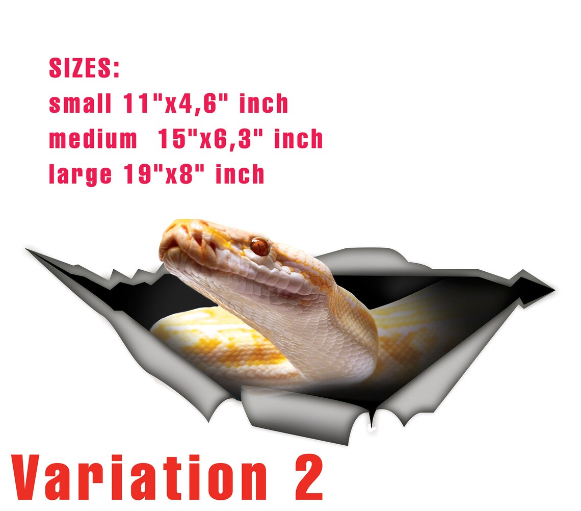 Albino Burmese Python Car Decal Vinyl Decal Car Decoration - Etsy