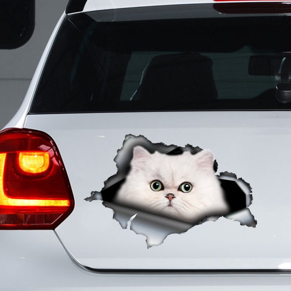 Cat Bumper Sticker - Etsy