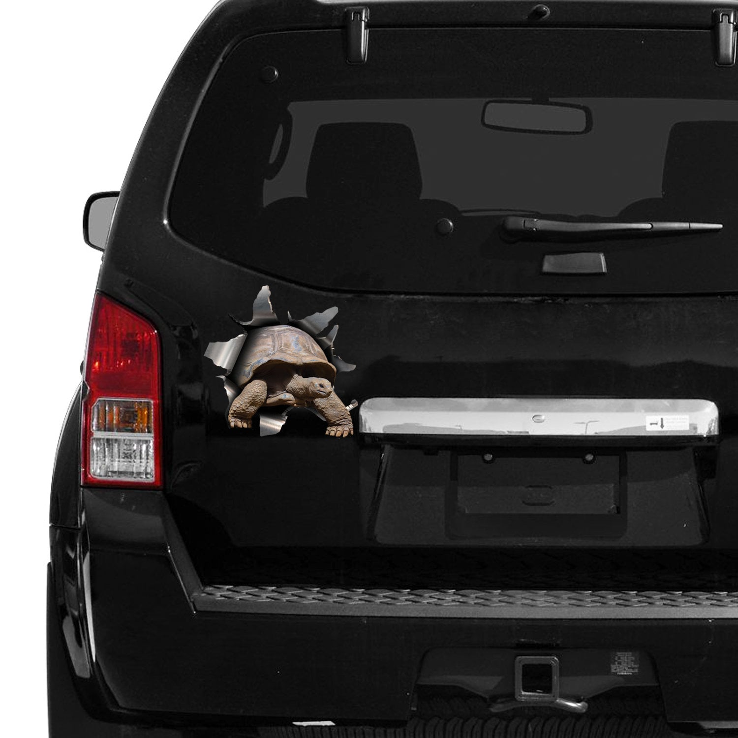 Tortoise Car Sticker, Tortoise Decal, Tortoise Magnet - Etsy