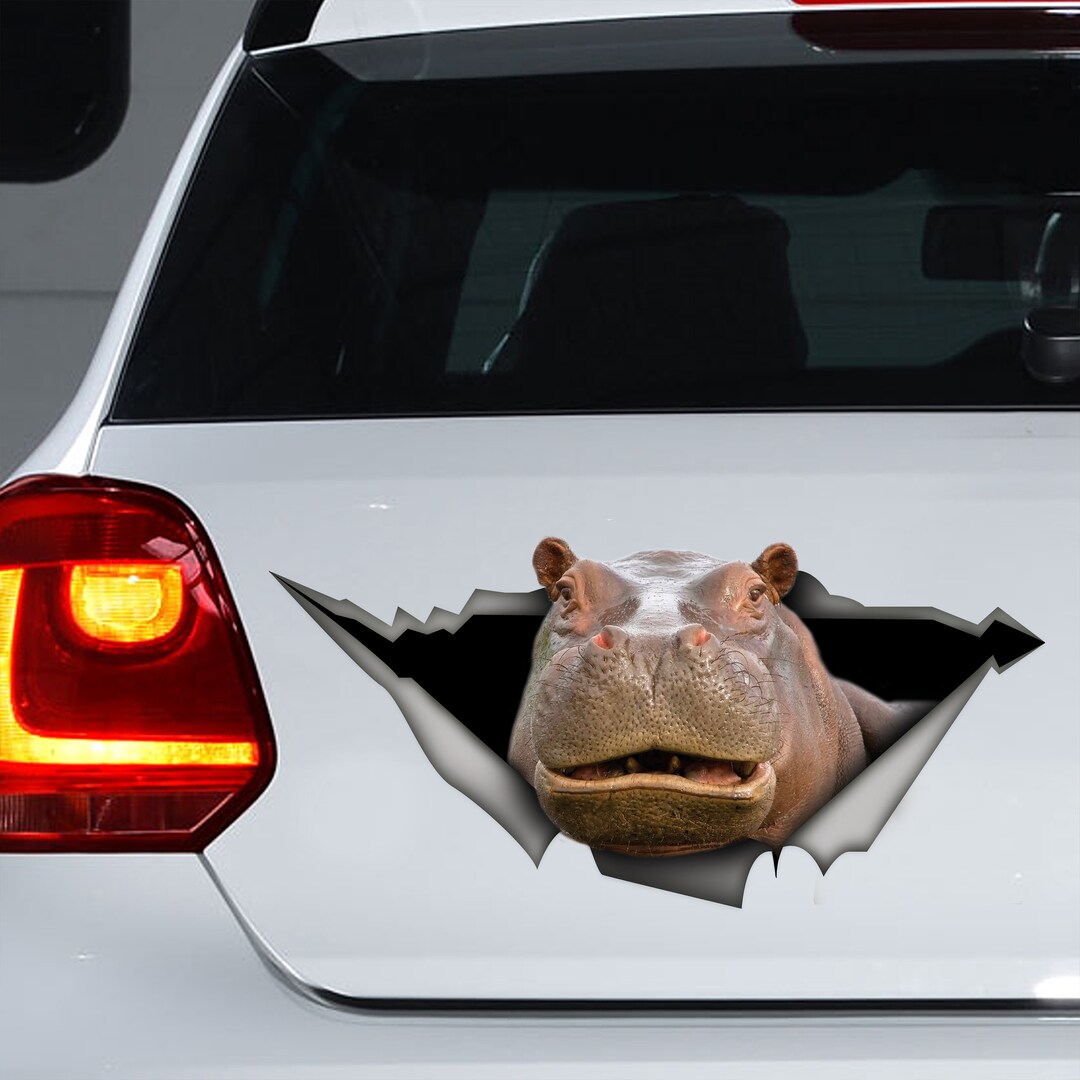 Hippopotamus Decal, Hippo Sticker, Hippo Magnet, Hippocar Decal - Etsy