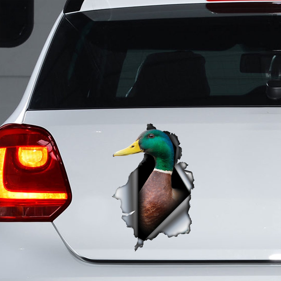 Funny Duck Decal , Duck Magnet, Duck Sticker, Duck Car Decal - Etsy