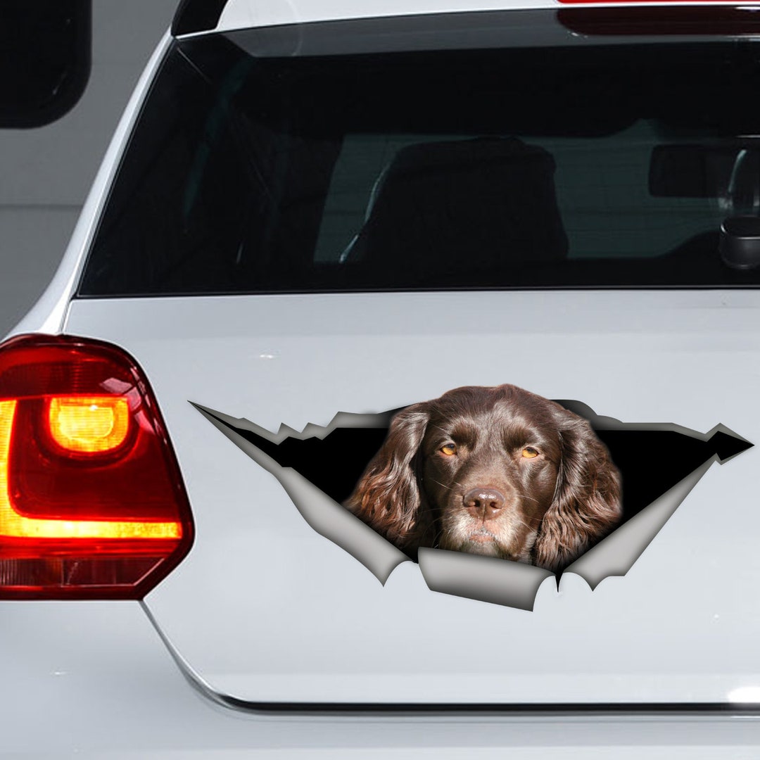 Brown Cocker Spaniel Car Decal, Cocker Spaniel Magnet, Brown Cocker ...