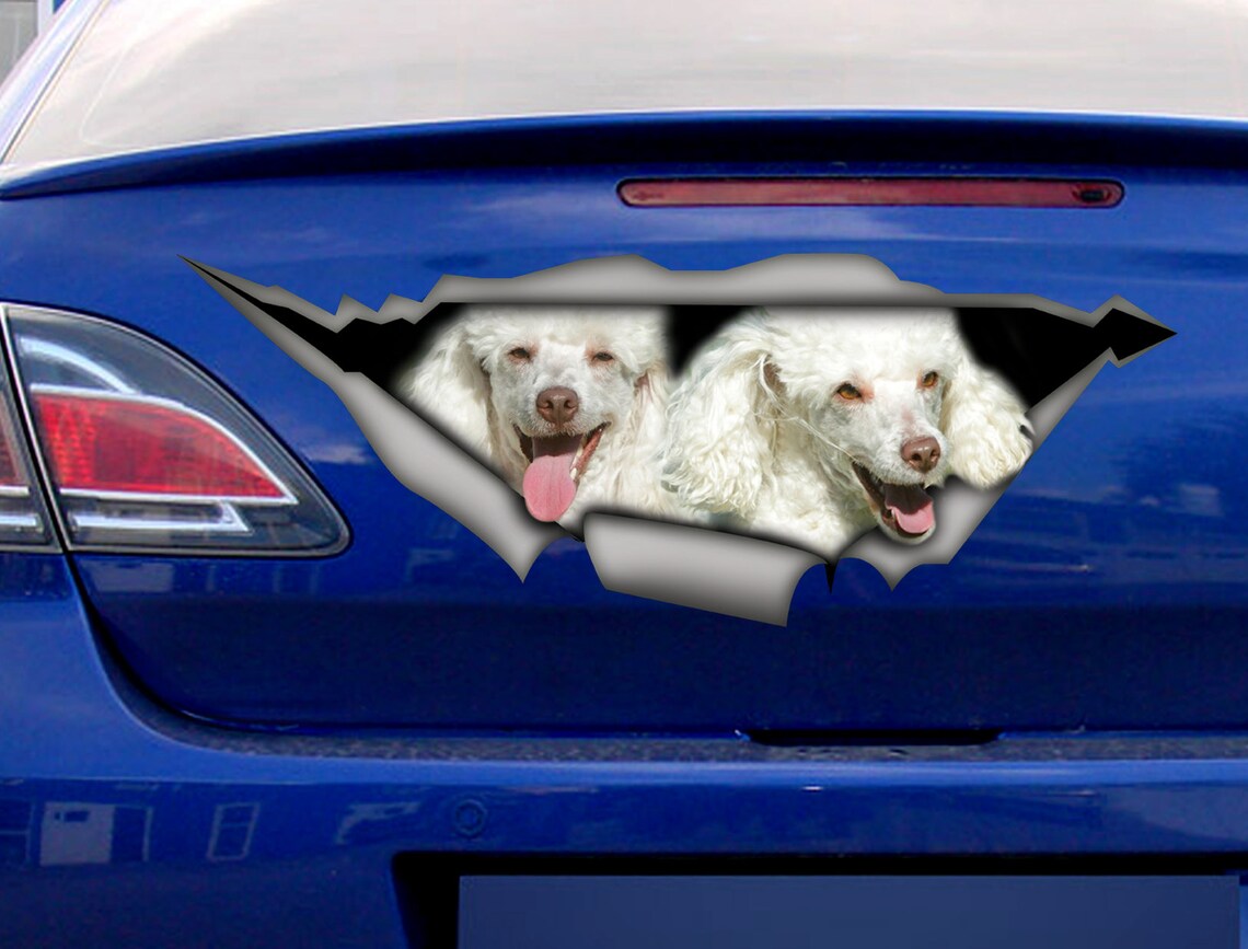 Sticker Poodles Car Sticker Poodle Decal Pet Sticker | Etsy