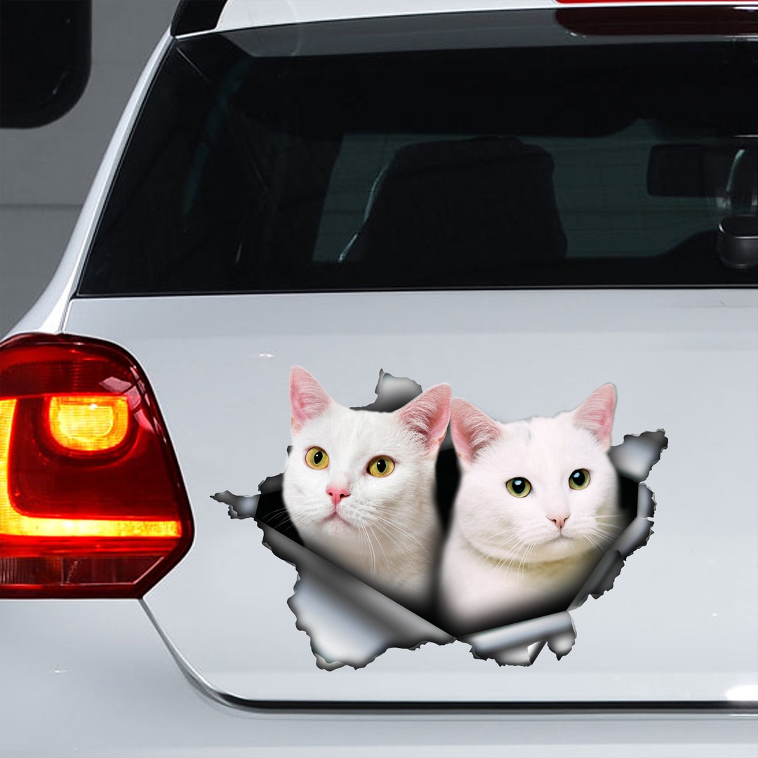 White Cats Car Decal , Cat Magnet, White Cat Sticker - Etsy