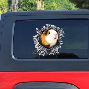 Guinea Pig Window Decal, Guinea Pig Car Sticker, Guinea Pig Car Decal ...