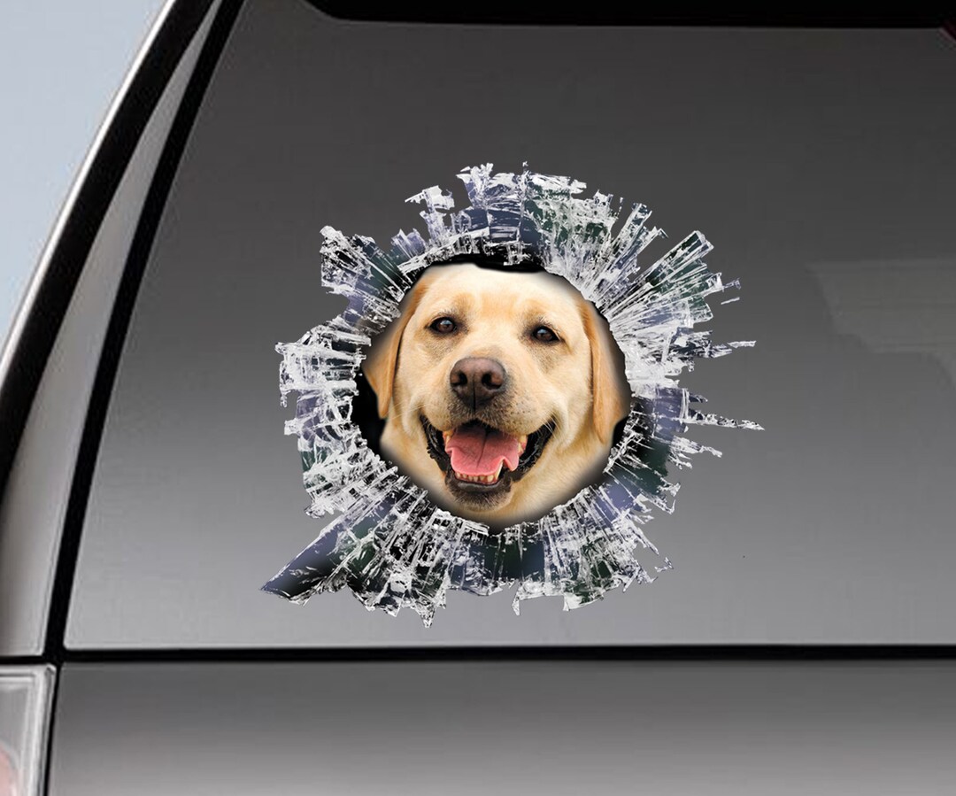 Yellow Lab Window Sticker, Car Sticker, Yellow Lab Car Decal - Etsy