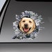 Yellow Lab Window Sticker, Car Sticker, Yellow Lab Car Decal - Etsy
