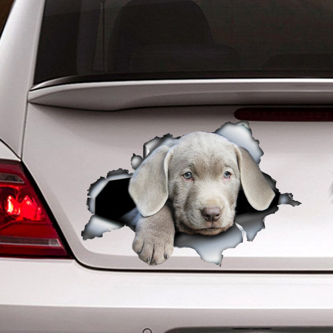 Silver Lab Puppy Car Decal, Lab Decal, Silver Labrador Sticker, Pet ...