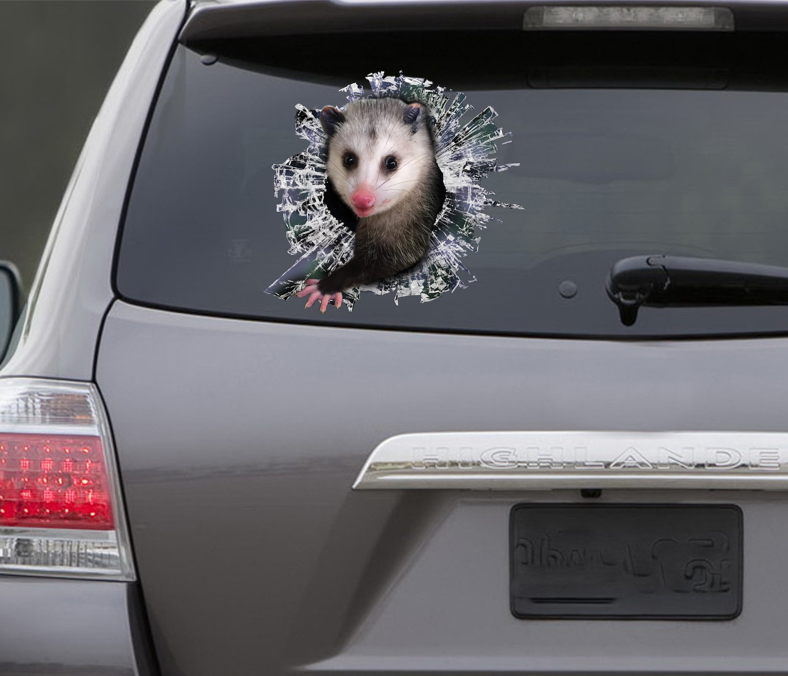 STICKER opossum window sticker car sticker opossum car | Etsy