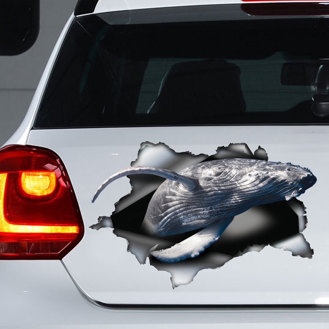 Humpback Whale Car Decal, Humpback Whale Magnet, Humpback Whale Sticker ...