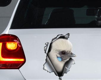 Chicken Decal Sticker - Etsy