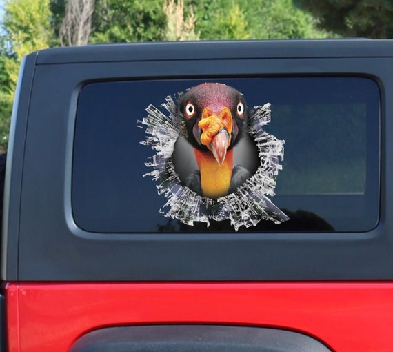 King Vulture Window Decal King Vulture Car Decal King - Etsy