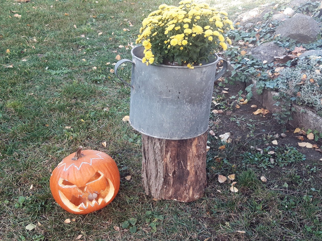 20 Litre Large Vintage Galvanized Pail Tub Zinc Planter, Two Handled ... 20 Litre Large Vintage Galvanized Pail Tub Zinc Planter, Two Handled ...