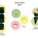 Novelty Sushi Pinbacks Sushi Pin Sushi Gift Assorted Sushi - Etsy