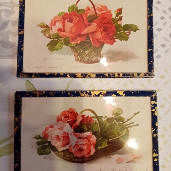 Vintage Cabbage Rose - Etsy