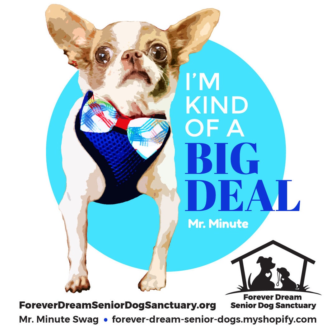 Mr. Minute Decal - Etsy