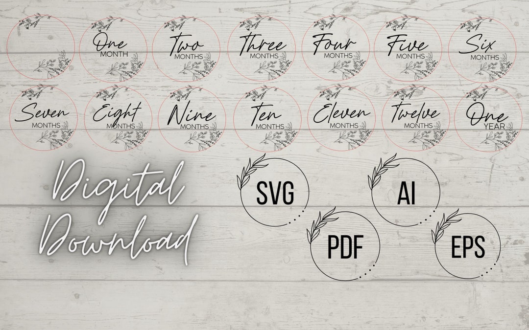 Floral Monthly Milestones, Digital Download! SVG,AI,PDF! - Etsy