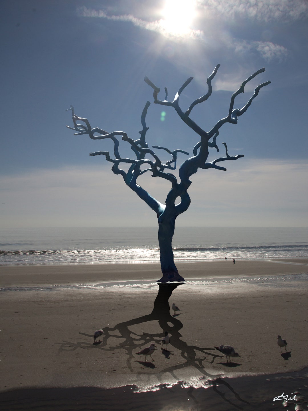 Beach Tree Collage, Original Signed Photo on Wood Panel - Etsy