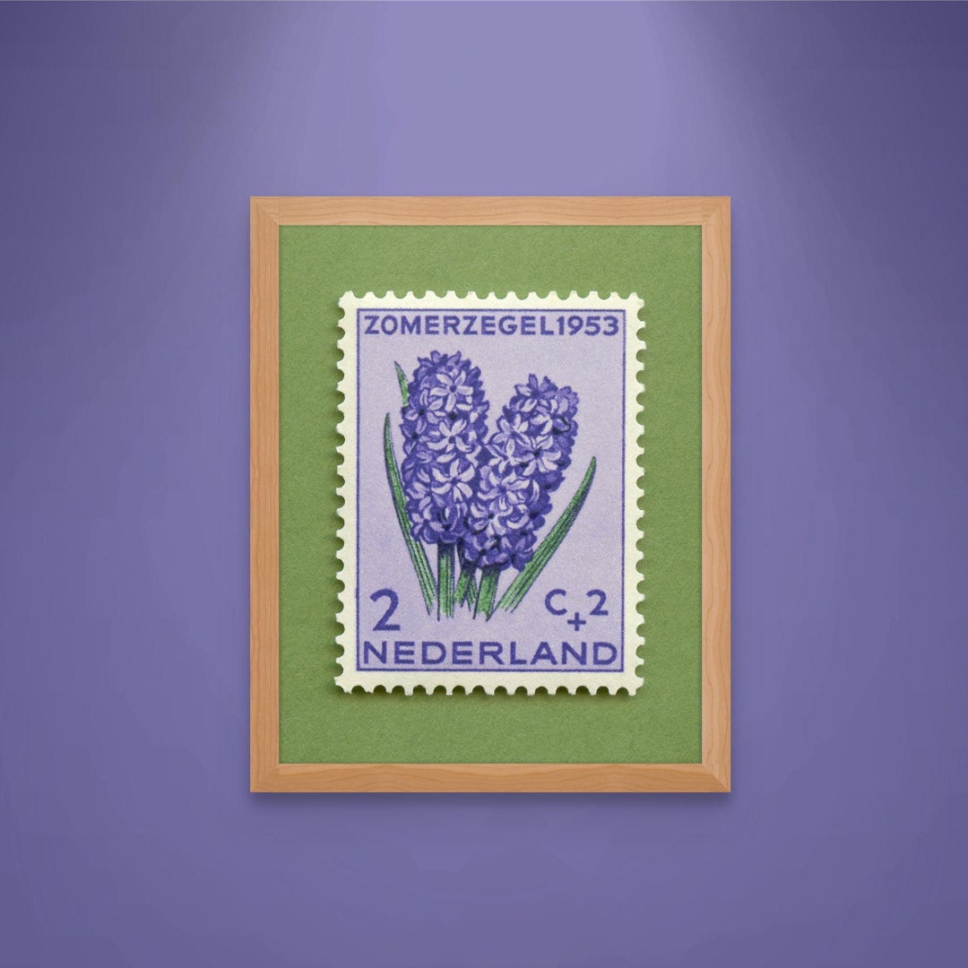 Netherlands Hyacinth Floral Postage Stamp Art Print: 1953 Vintage ...