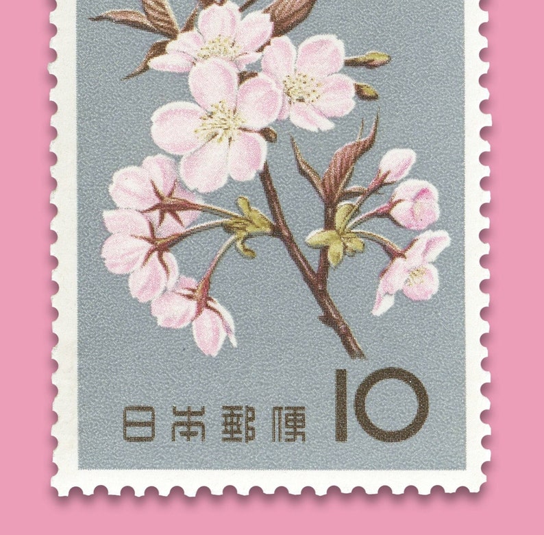 Cherry Blossoms Japan, Cherry Blossoms Print, Cherry Blossoms Poster ...