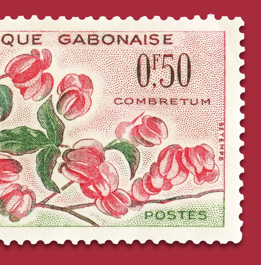 Gabon Combretum Flowers, Gabon Poster, Gabon Print, Gabon Wall Art ...