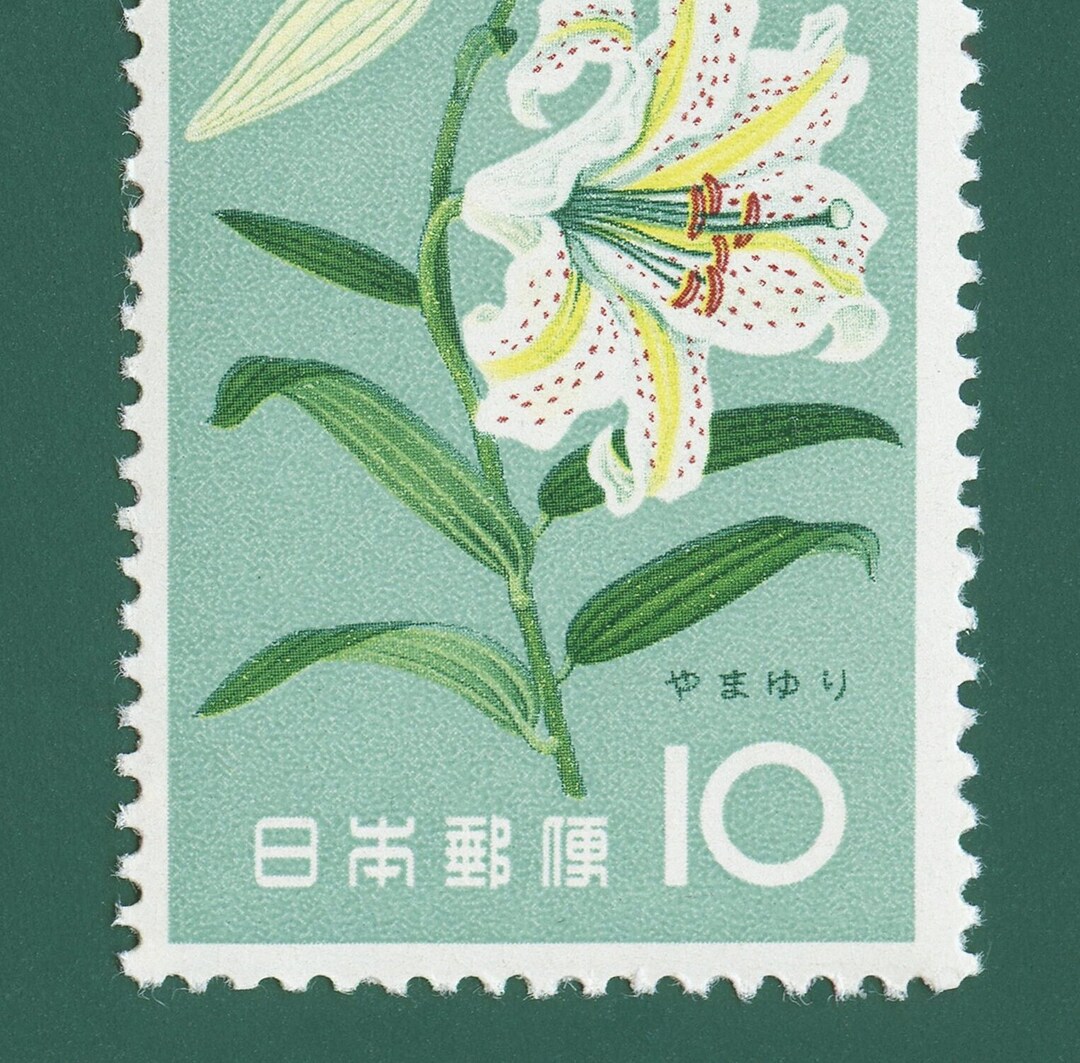 Oriental Lily Japan, Lily Print, Botanical Lily, Japan Botanical Print ...