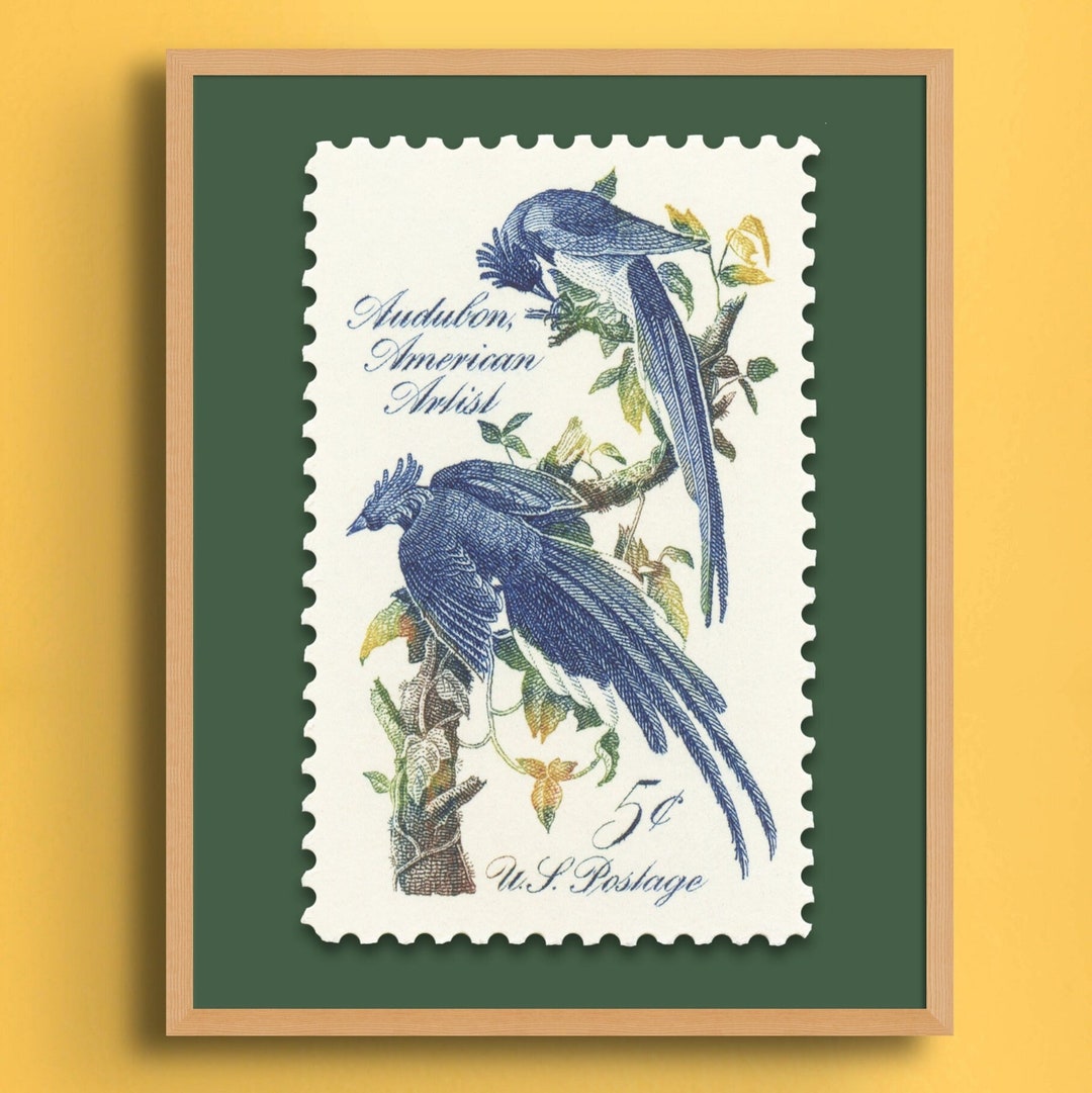 John James Audubon Print, Bird Poster, Bird Print, Audobon Society ...