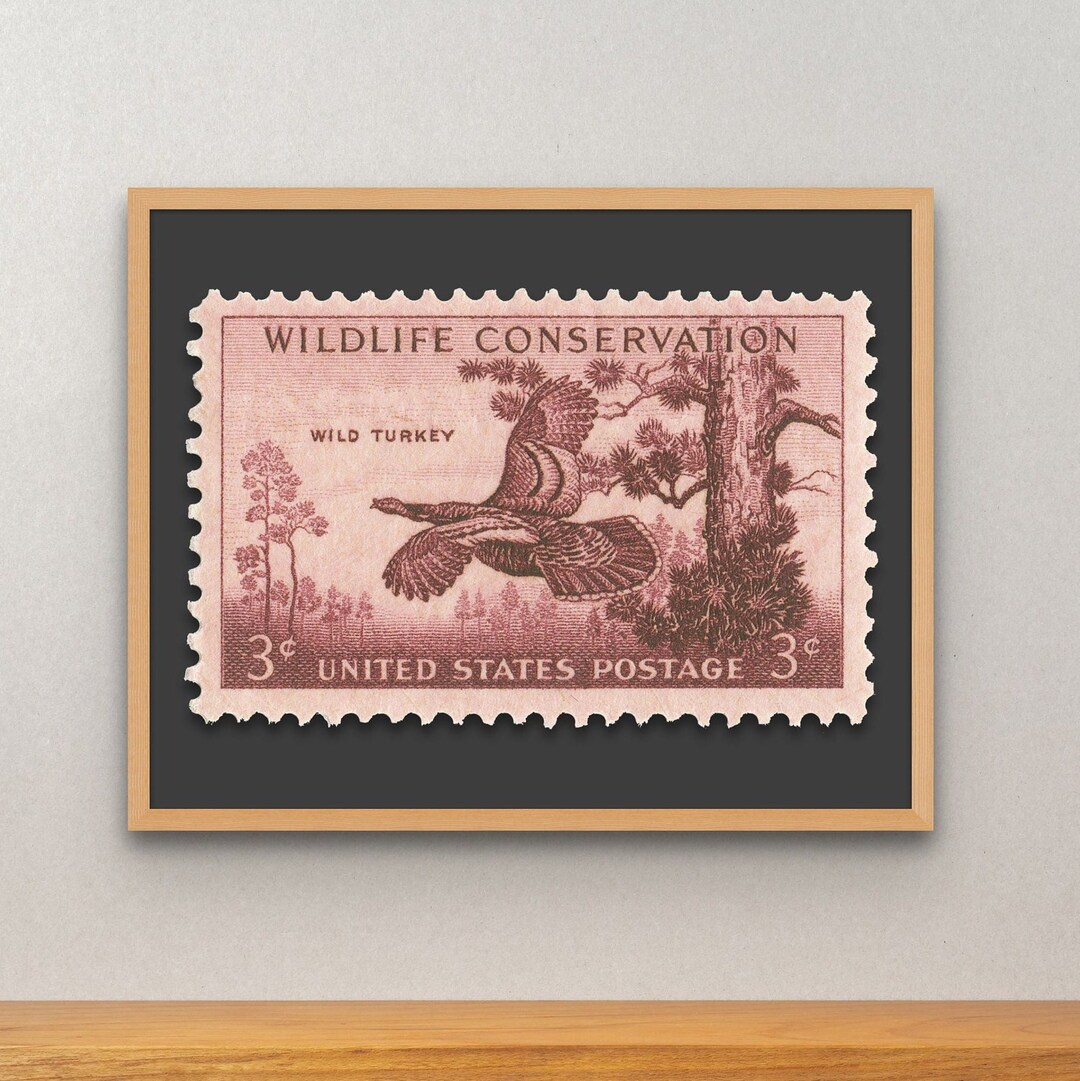 Wild Turkey Wildlife Conservation 3c Stamp 1956 Museum-quality Print 14 ...