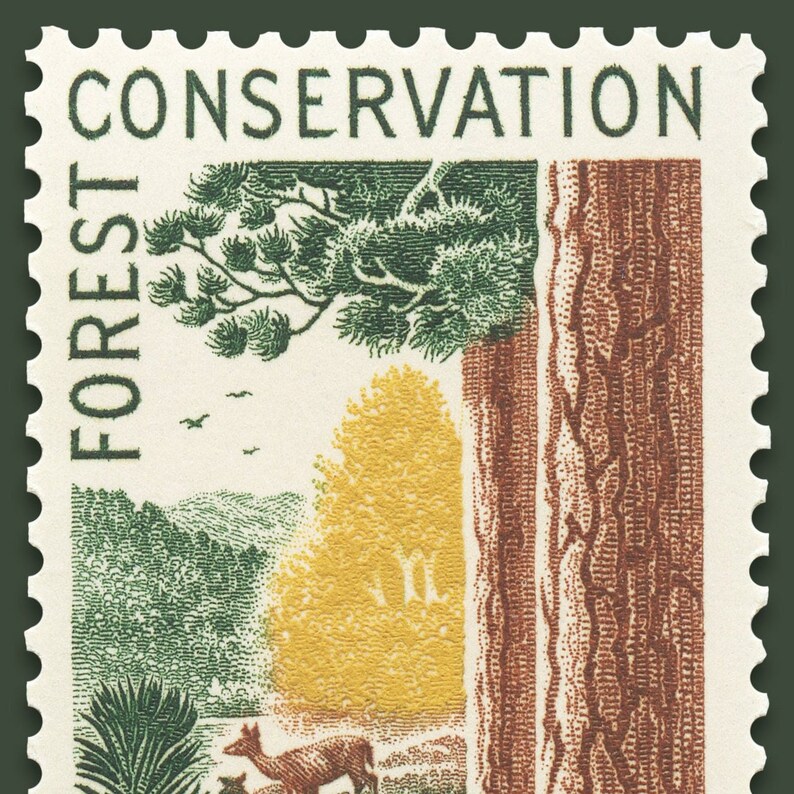 Forest Conservation Print, Forestry Print, Forests Poster, 1958 4c ...