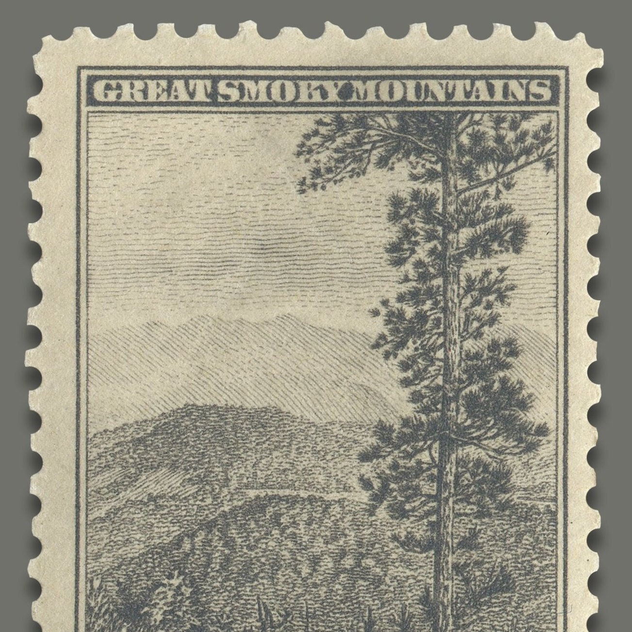 National Parks: Great Smoky Mountains 1934 7c Stamp Museum-quality ...