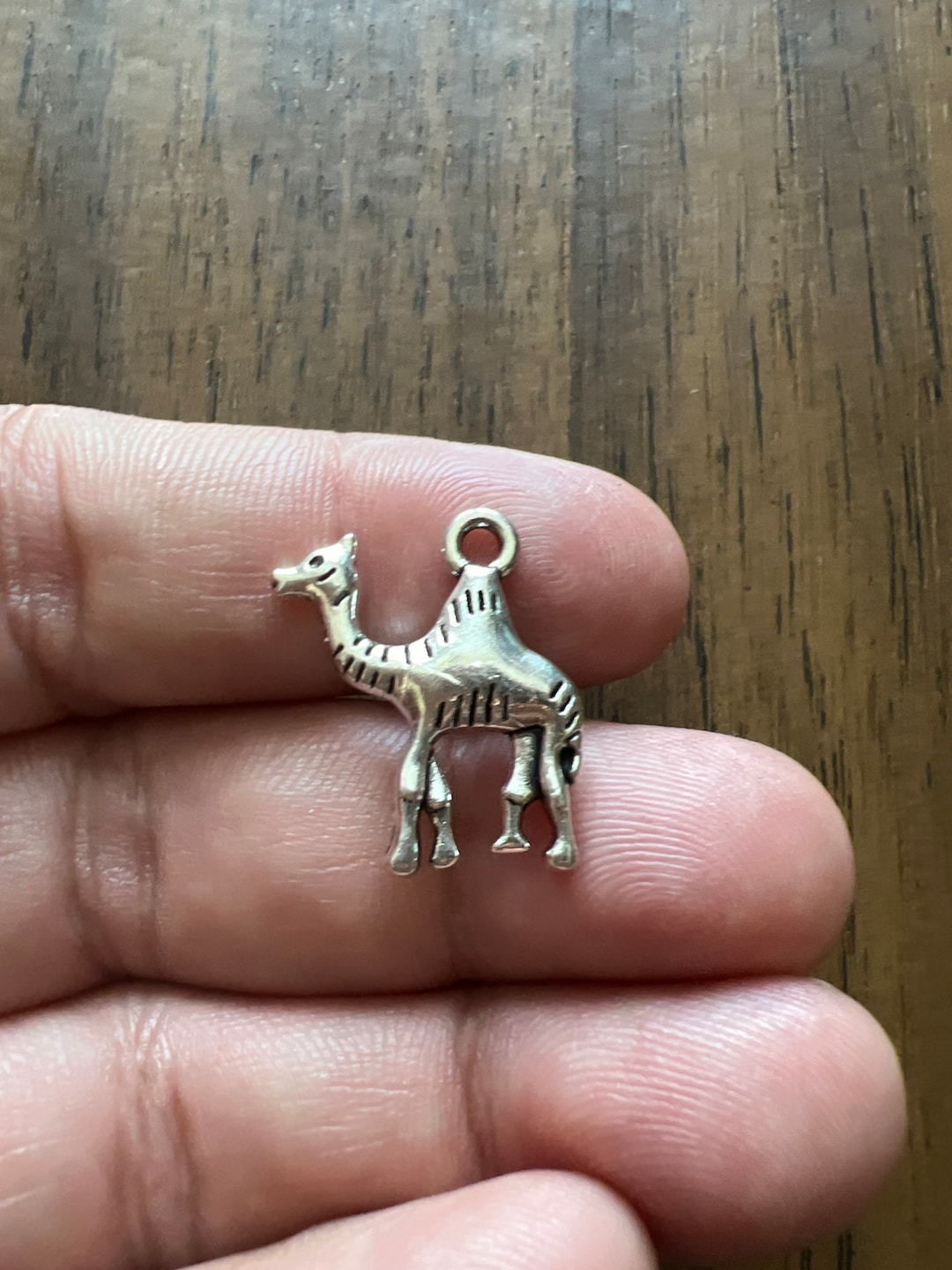 Camel Charms, Antique Tibetan Silver Camel Charms, Double Sided Camel ...