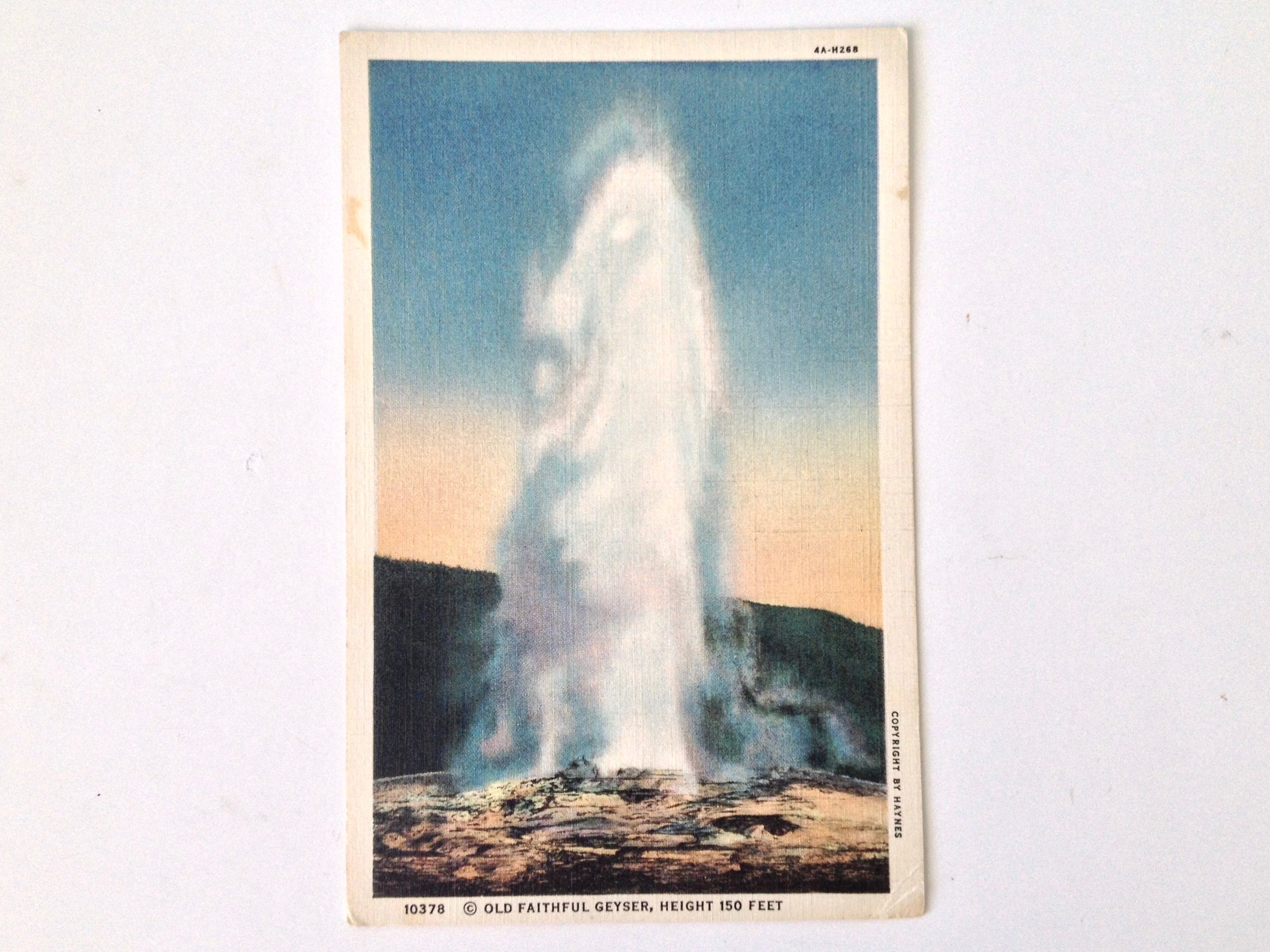 Old Faithful Postcard