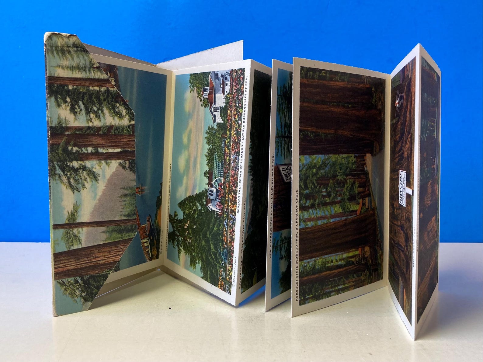 Souvenir Folder Redwood Highway California - Etsy