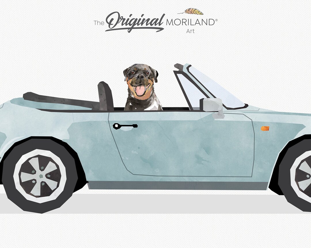 Rottweiler in Car Print, Classic Car, Pet Memorial Gift (digital ...