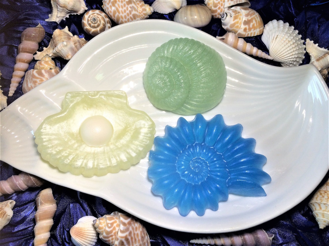 Sea Soap Undersea World Soap Ocean Soap Seashells Soap - Etsy