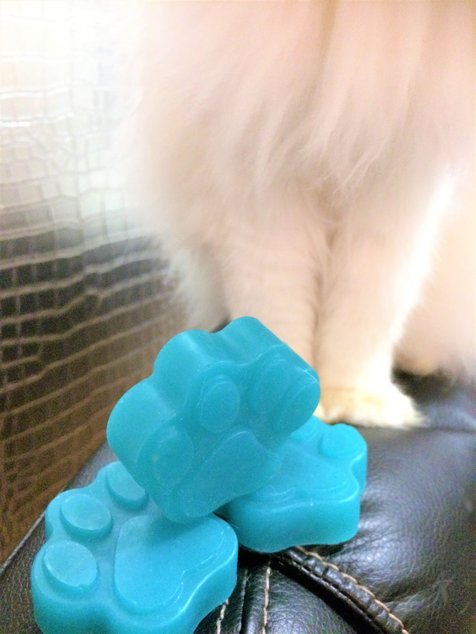 6 Paw SoapCat Paw SoapDog Paw SoapDog Lover SoapCat Lover | Etsy