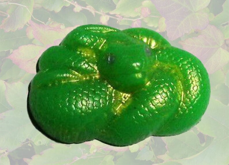 Python Soap-Snake Soap-Reptile Soap-Kids Soap-Boys | Etsy