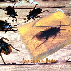 Cockroach Soap-Halloween Soap-Roach Soap-Joke Soap-Bug | Etsy