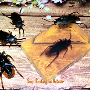Cockroach Soap-halloween Soap-roach Soap-joke Soap-bug Soap-freaky Soap ...