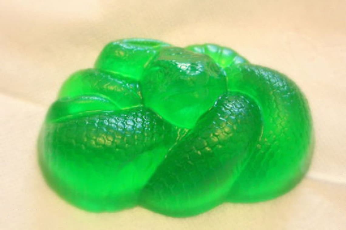 Python Soap-Snake Soap-Reptile Soap-Kids Soap-Boys | Etsy
