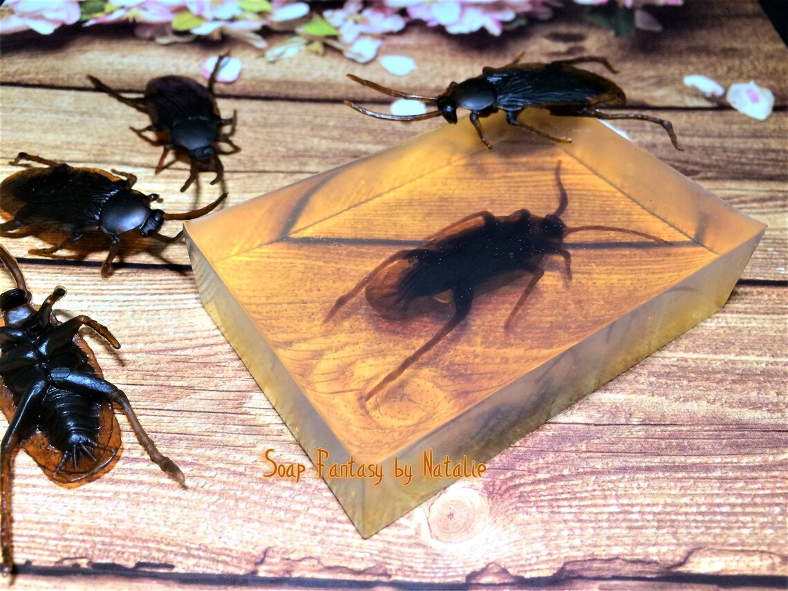 Cockroach Soap-halloween Soap-roach Soap-joke Soap-bug - Etsy