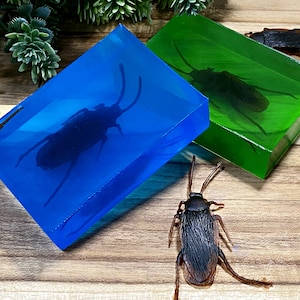 Cockroach Soap-halloween Soap-roach Soap-joke Soap-bug Soap-freaky Soap ...