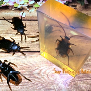 Cockroach Soap-halloween Soap-roach Soap-joke Soap-bug Soap-freaky Soap ...