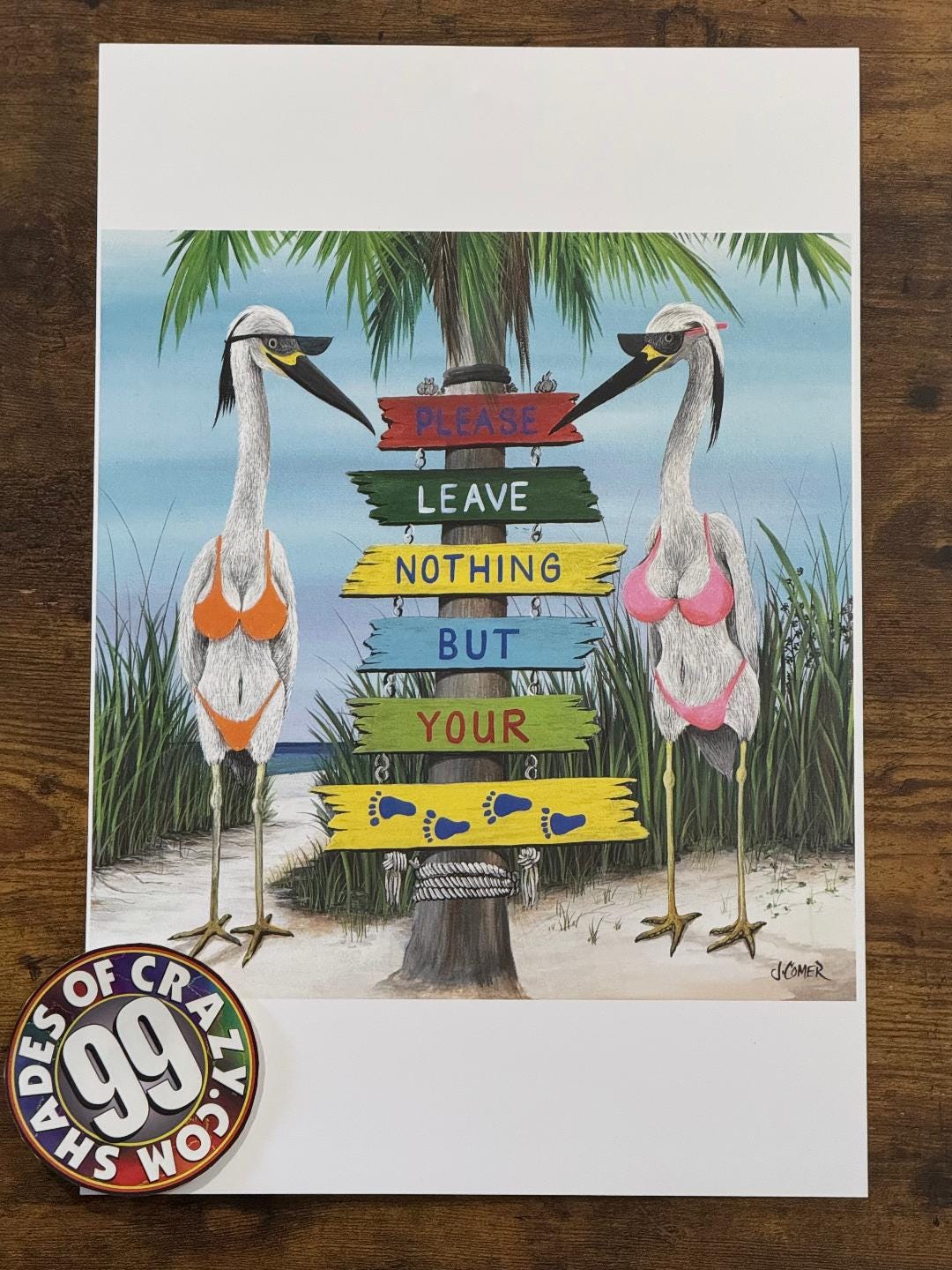 Birds in Bikinis Footprints - Etsy