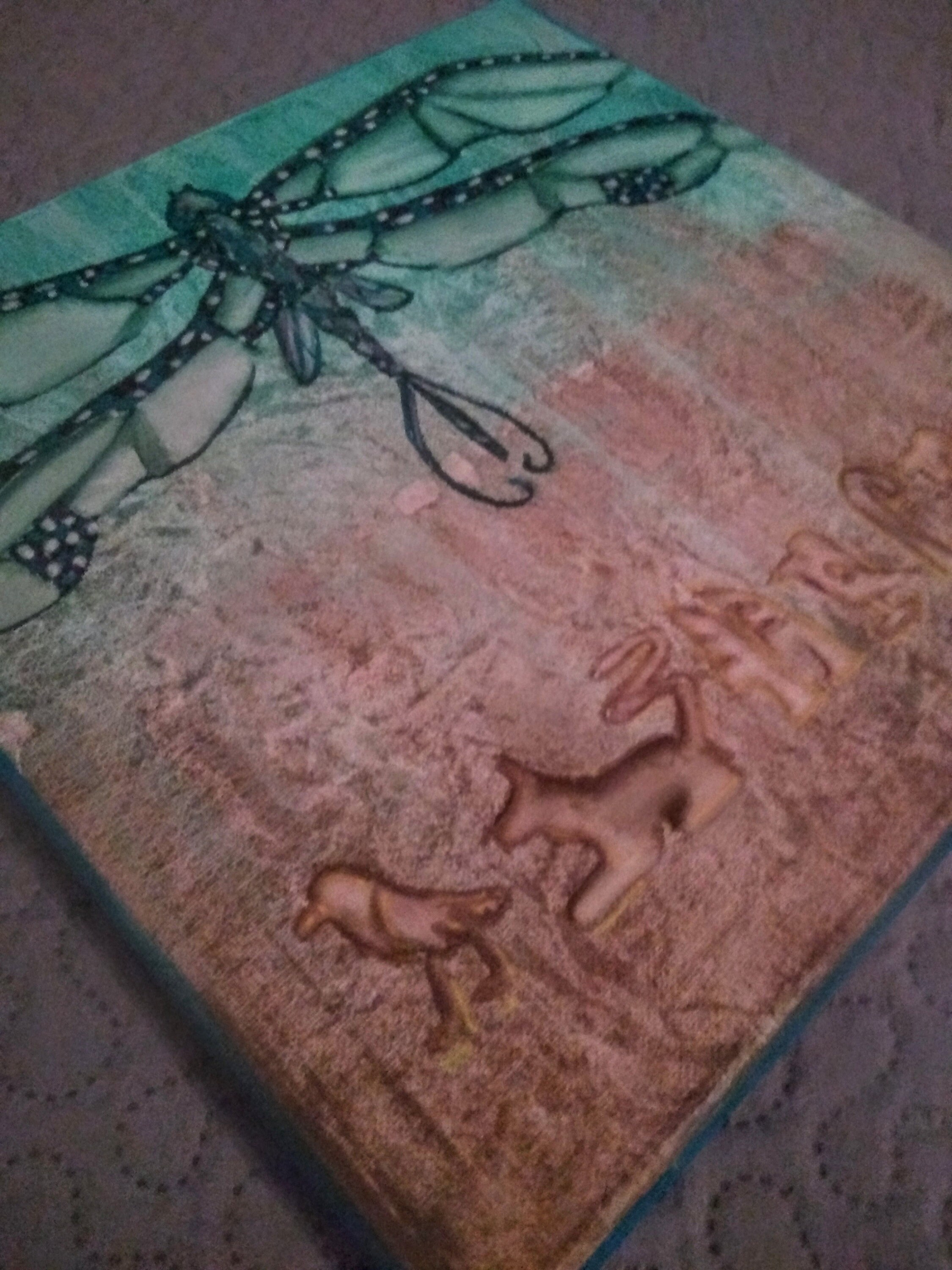 Five, 2021 Dragonfly Collection, Gallery Mounted, 12in Square 1/2 in ...